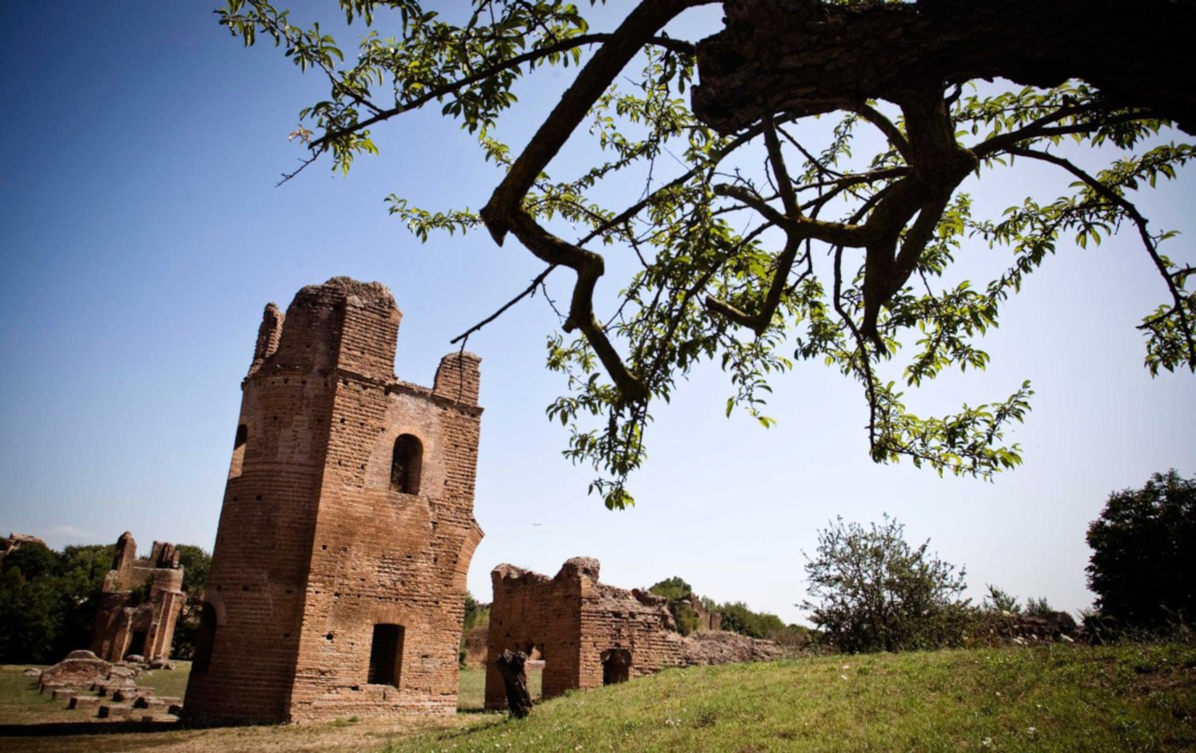 Farina e fantasia: le tacconelle allo scoglio - MoltoFood