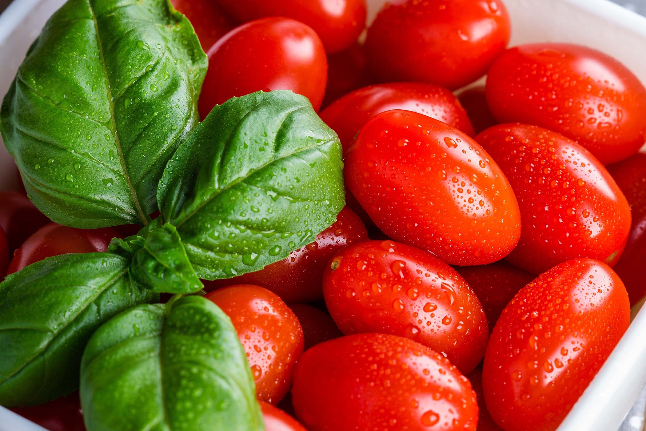 Pomodorini cosa fare - MoltoFood