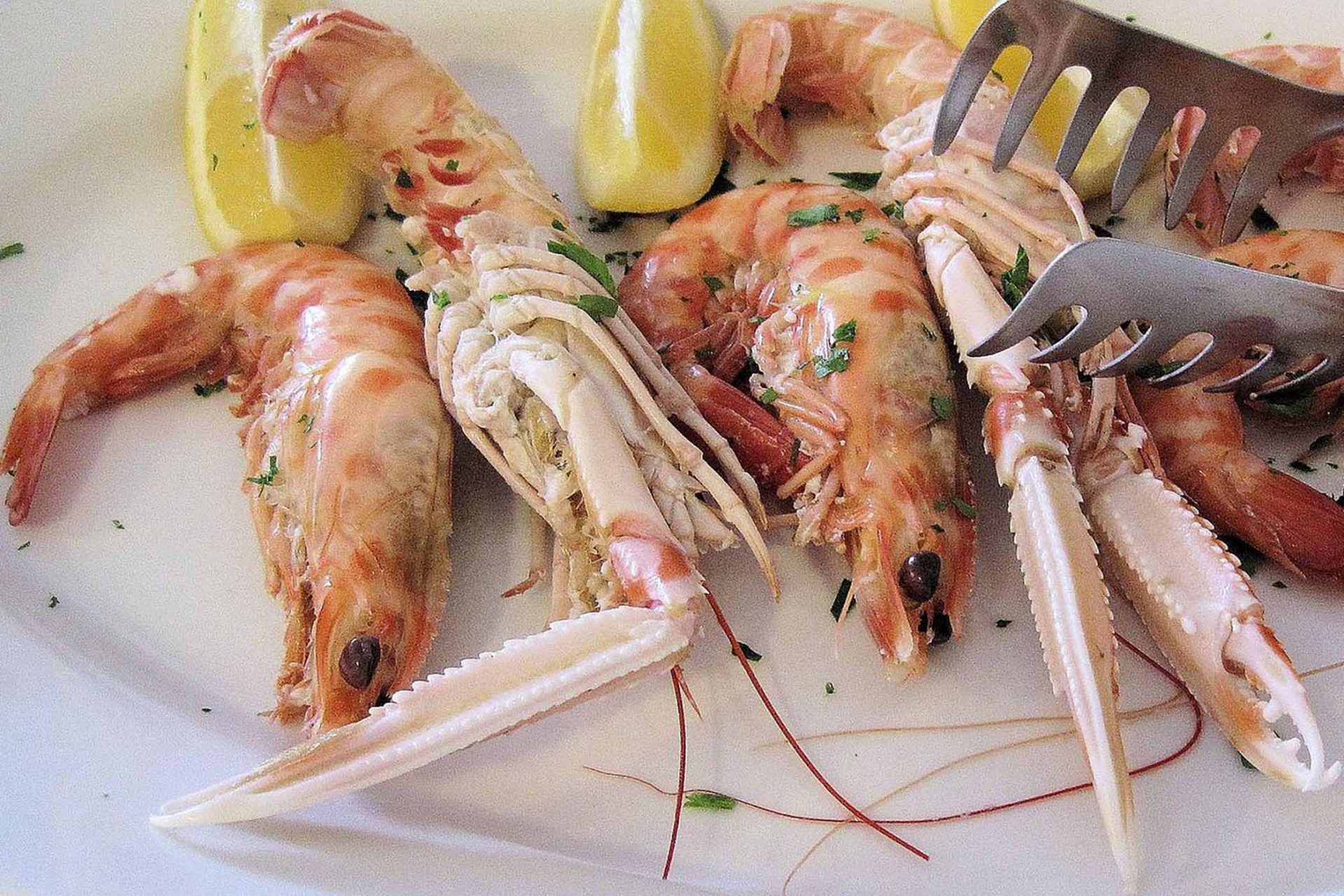 Il mare nel piatto, gli spaghetti aglio olio peperoncino e scampi ...