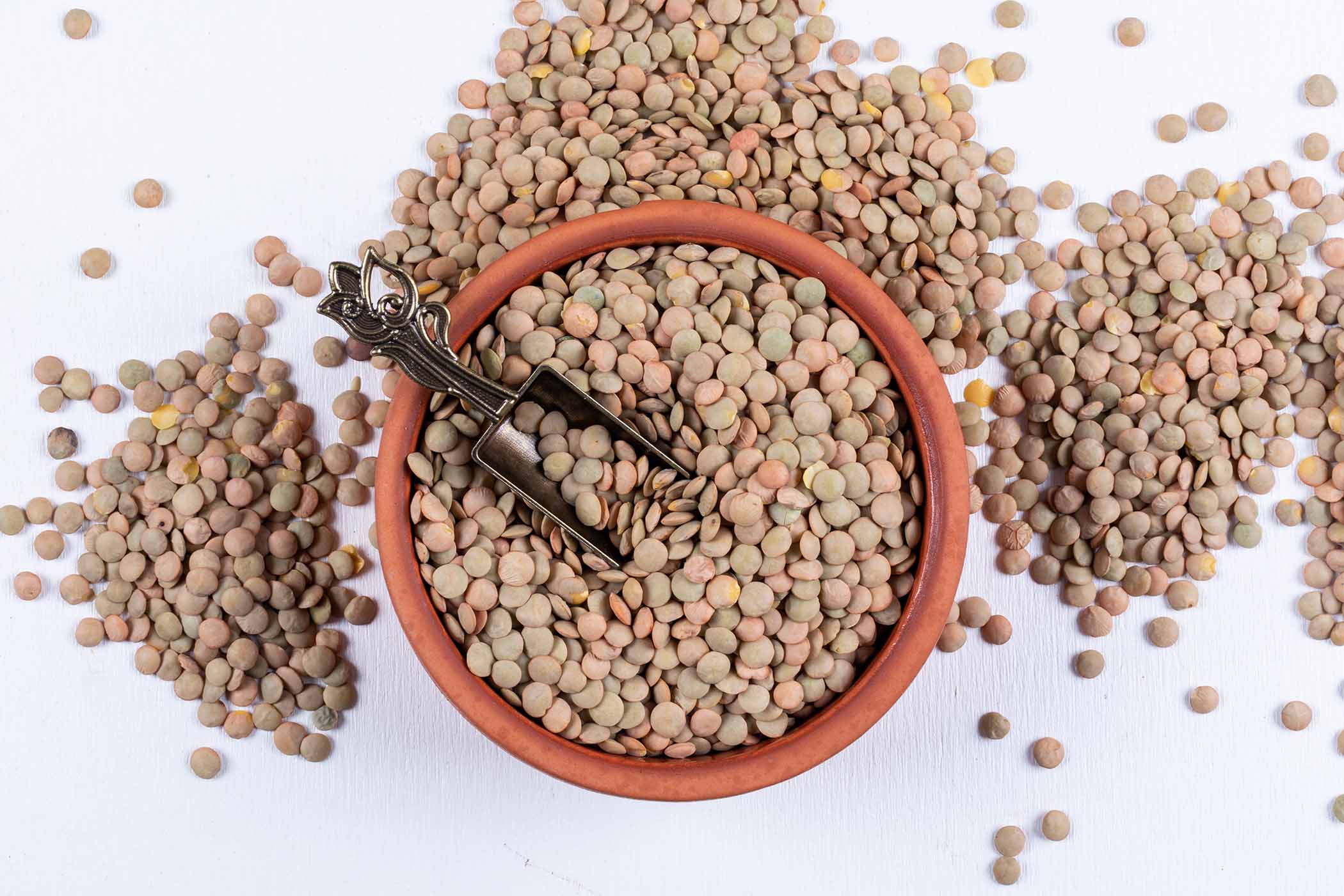 Come cucinare le lenticchie? Trucchi e segreti - MoltoFood