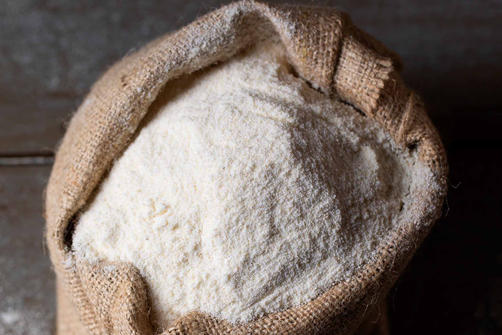 Farina di grillo nei cibi, cosa dicono gli esperti - MoltoFood