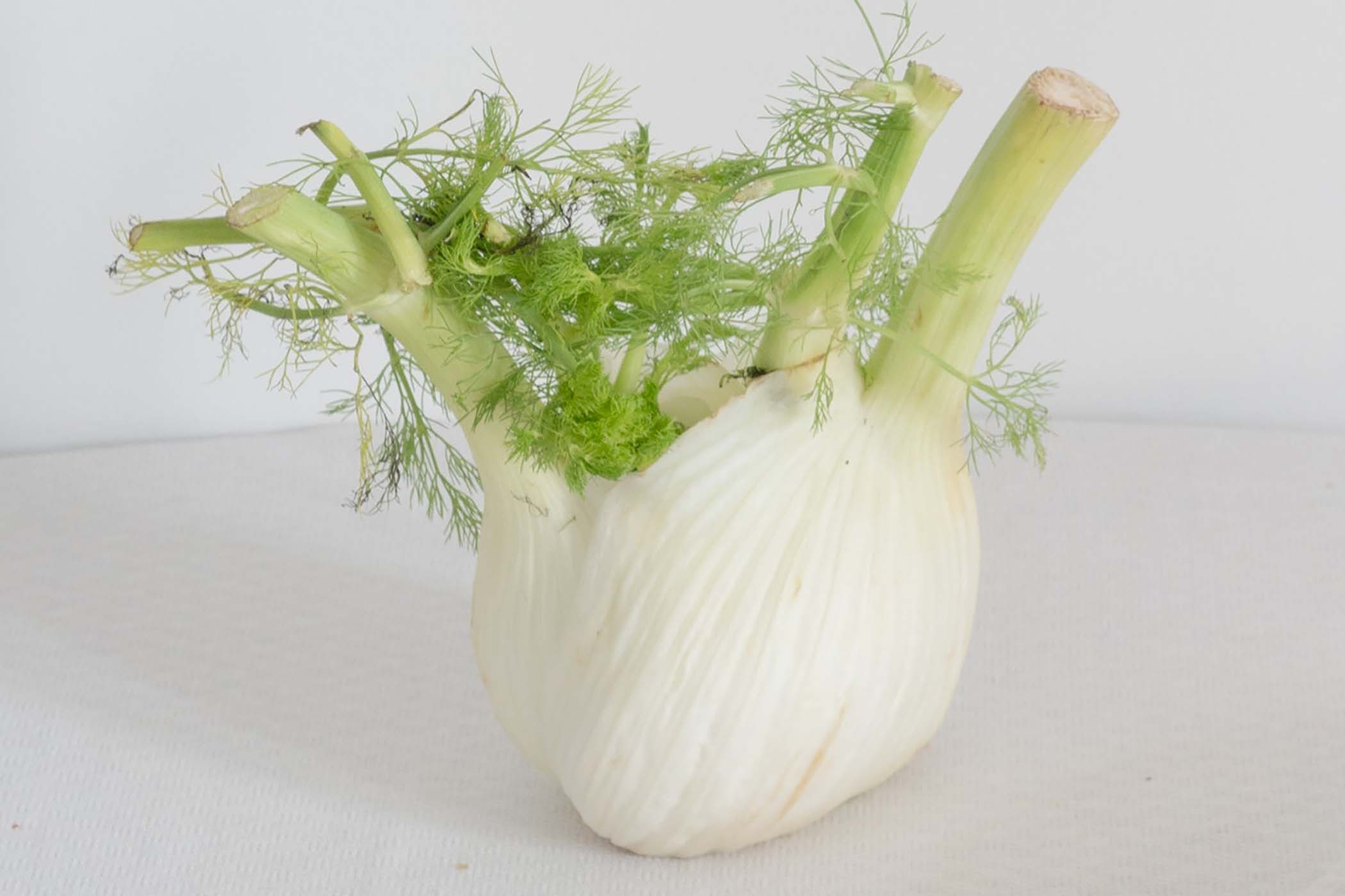 Finocchi, perché fanno bene alla salute - MoltoFood