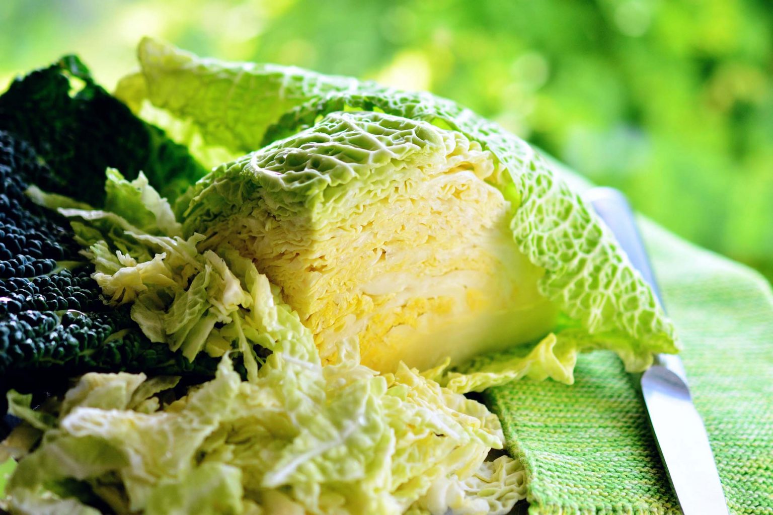 Come cucinare la verza: ricette da non perdere - MoltoFood