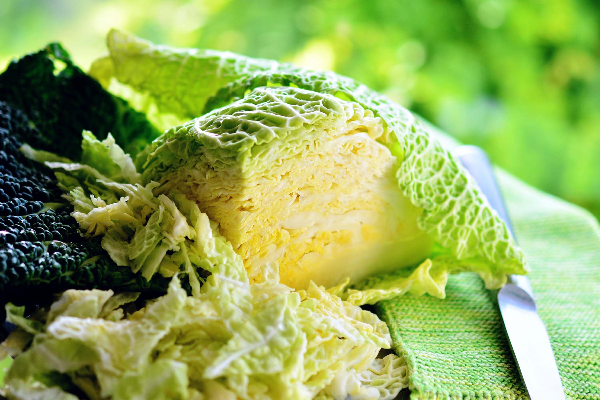 Come cucinare la verza: ricette da non perdere - MoltoFood