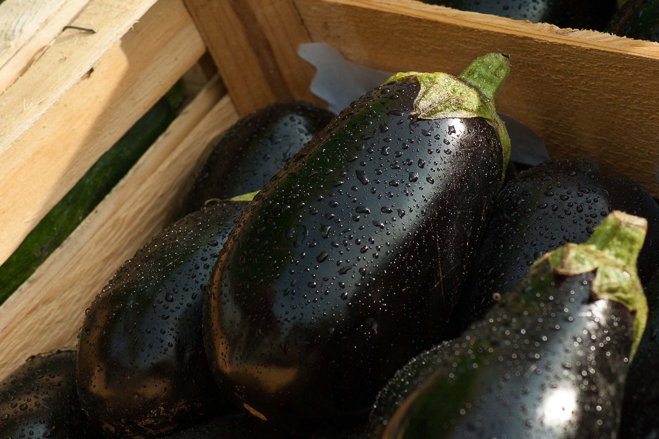 Ricette con melanzane leggere e gustose - MoltoFood