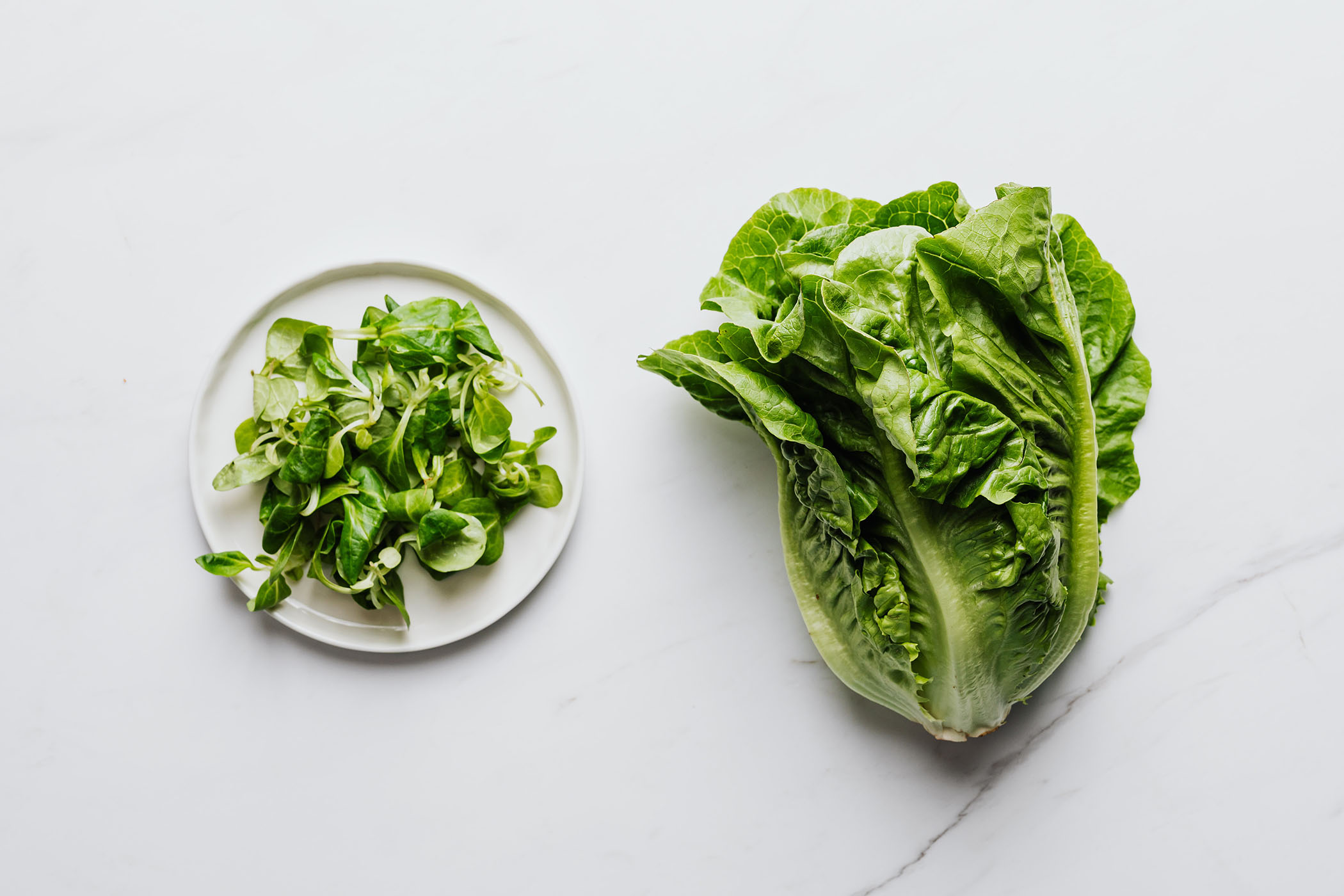 Insalate invernali da provare: sapore e salute nel piatto - MoltoFood