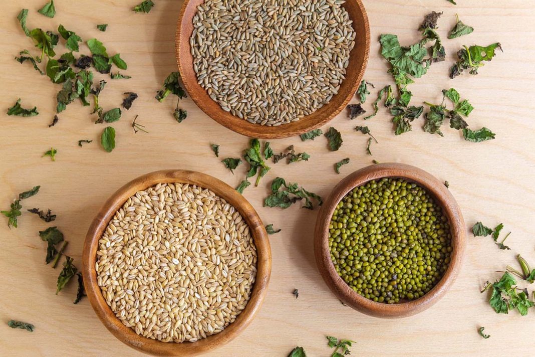 Orzo perlato: ricette e segreti per cucinarlo - MoltoFood